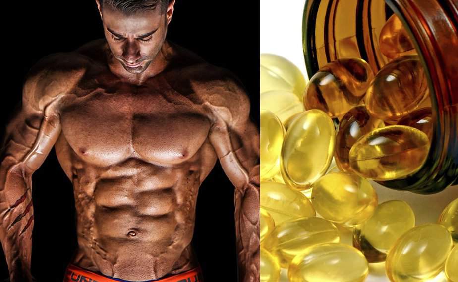 Healthy Potential Effects of Fish Oil on Muscle Growth