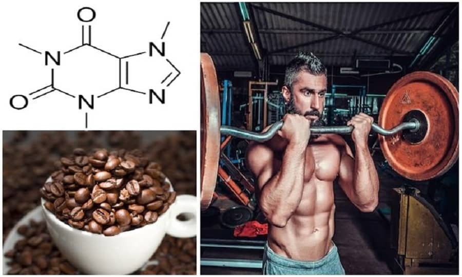 The Contribution of Caffeine in Building Strength and Endurance